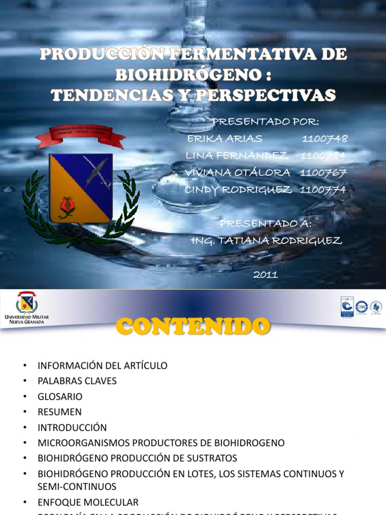 Qué es el biohidrógeno y su producción | PDF | Metabolismo | Hidrógeno