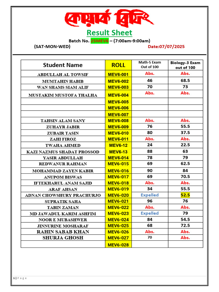 25mev6 - Result Sheet - 4 | PDF