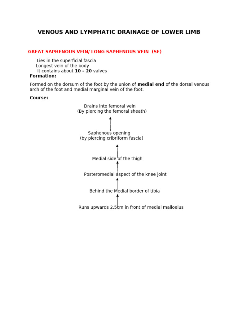 9.venous & Lymphatic Drainage of Lowrre Limb | PDF | Vein | Lower Limb Anatomy
