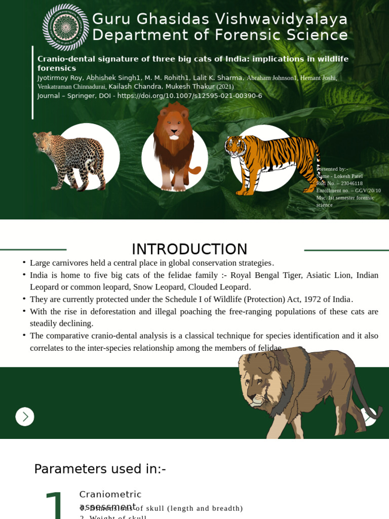 Cranio-Dental Signature of Three Big Cats of India: Implications in ...