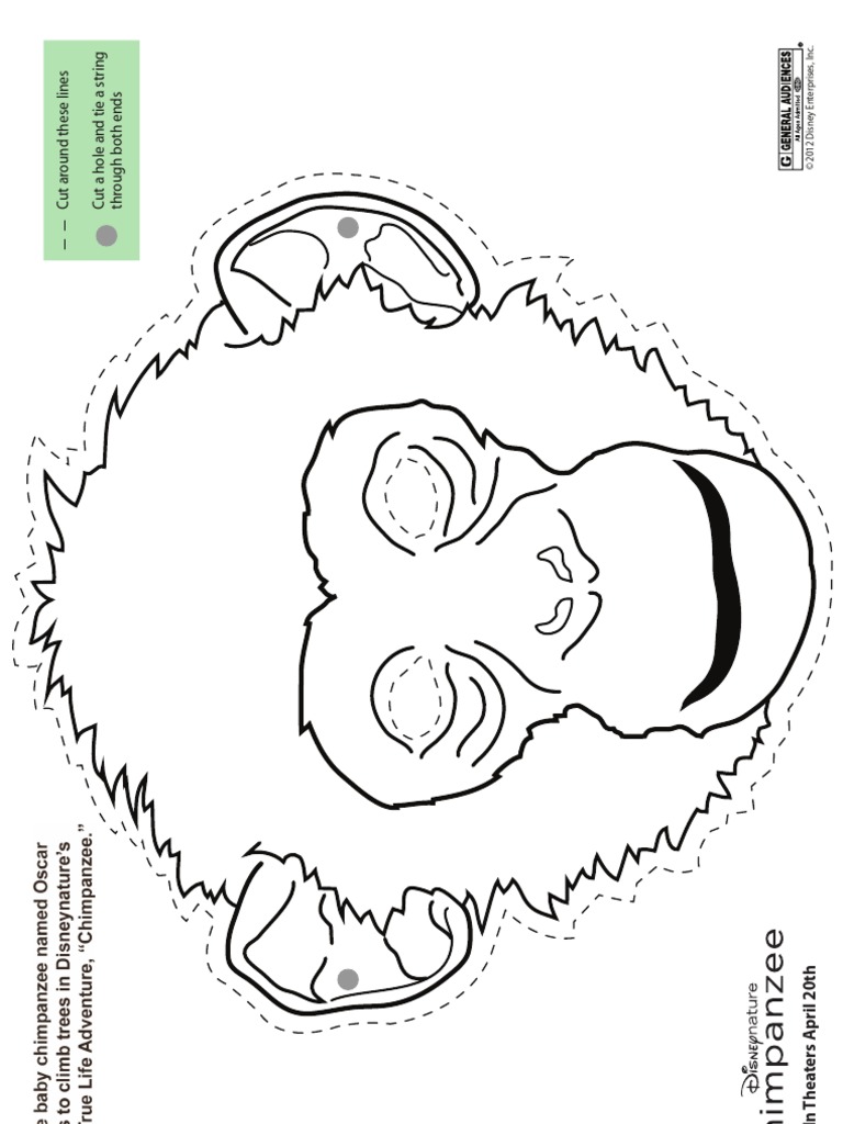 Disneynature's Chimpanzee Activity Book | PDF