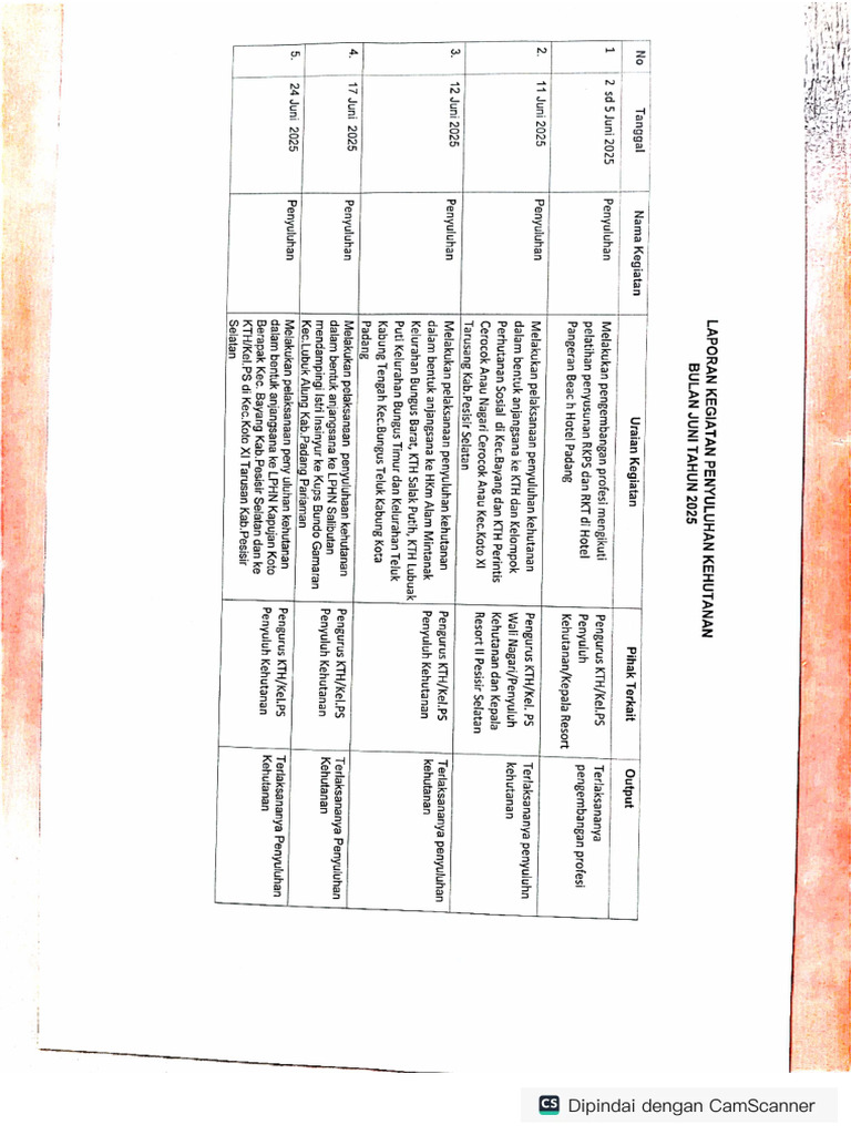 Laporan Kegiatan PK Juni 2025 | PDF