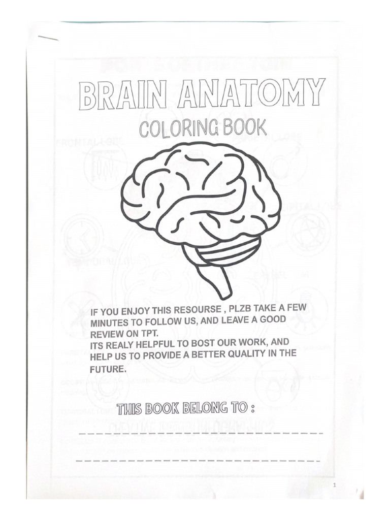 Neuroscience Brain Anatomy Coloring Book Packet Scan Blank | PDF