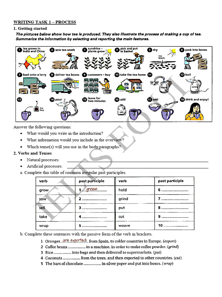 Writing Task 1 - Process | PDF | Verb | Languages