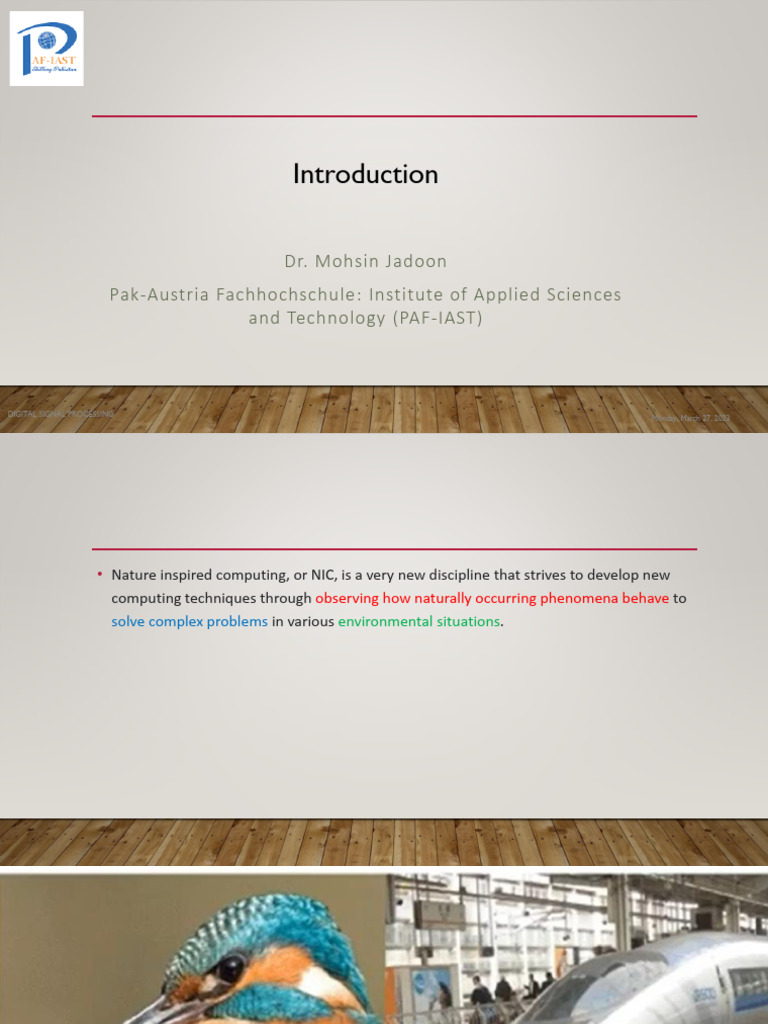 Nature Inspired Computing Lec 1 | PDF | Mathematical Optimization ...