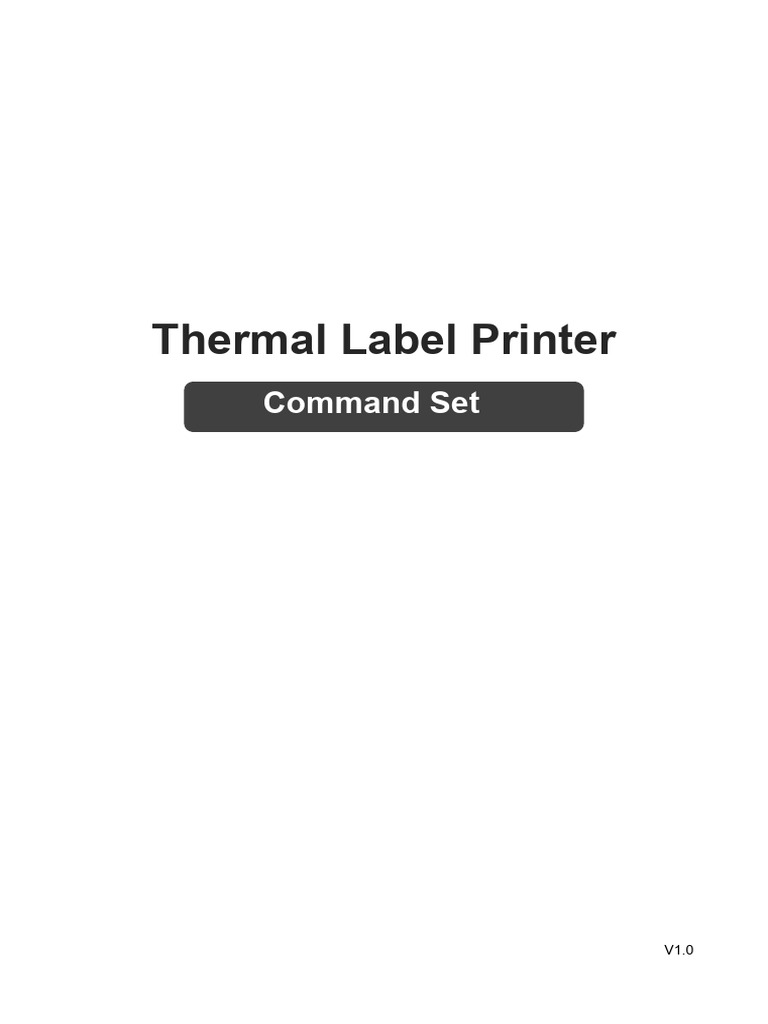 RP80VI Command Set | PDF | Computing | Naming Conventions