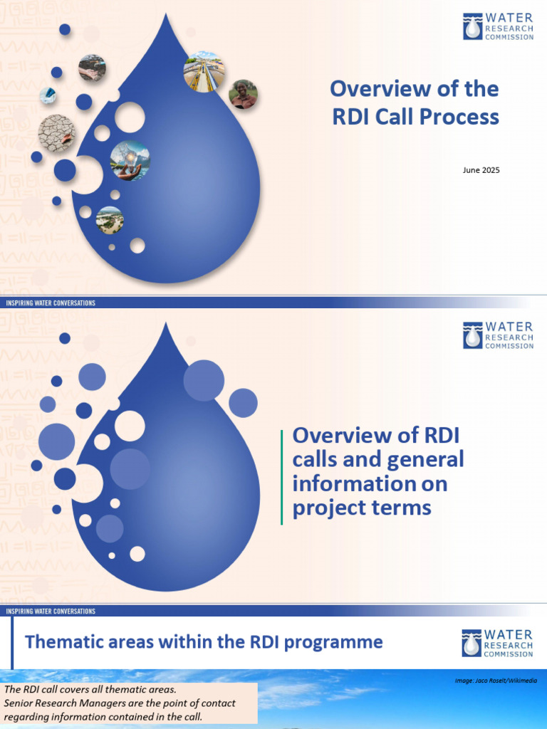 RDI Call for Proposals Overview 2025 | PDF