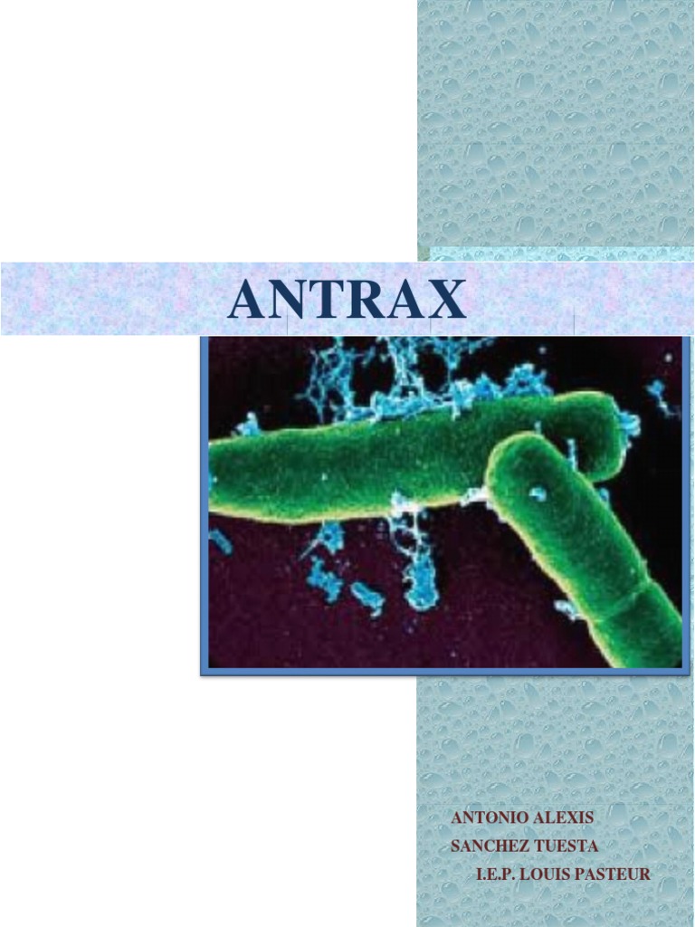 Antrax | PDF | Ántrax | Microbiología