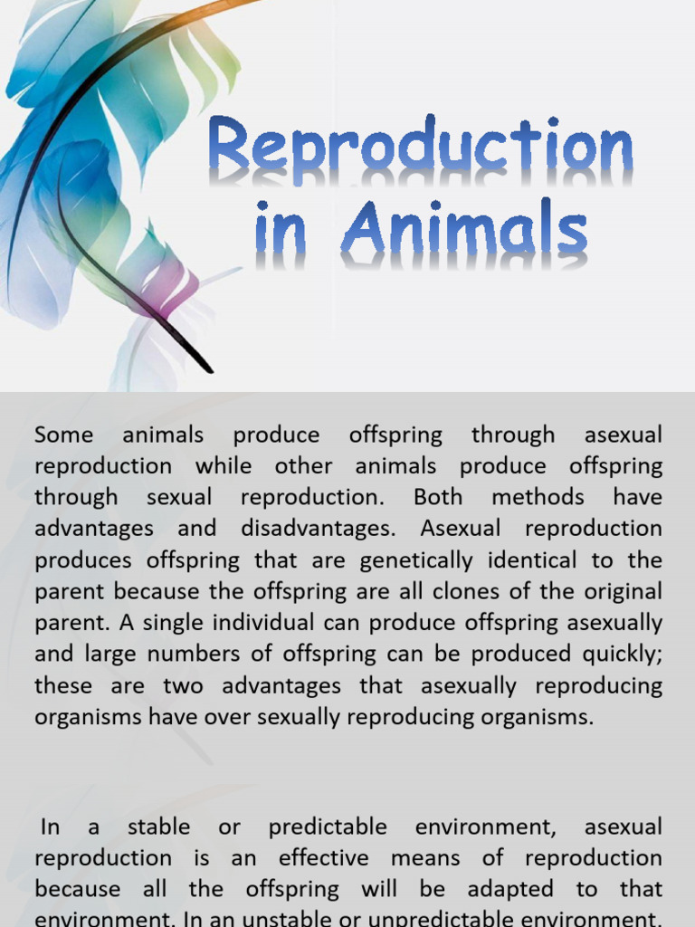 Animal Reproduction Methods Explained | PDF | Sex | Reproduction