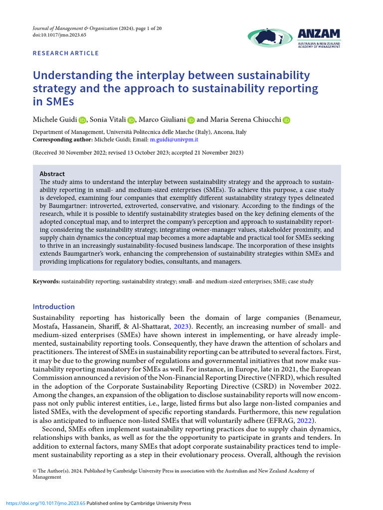 Understanding The Interplay Between Sustainability Strategy and The ...
