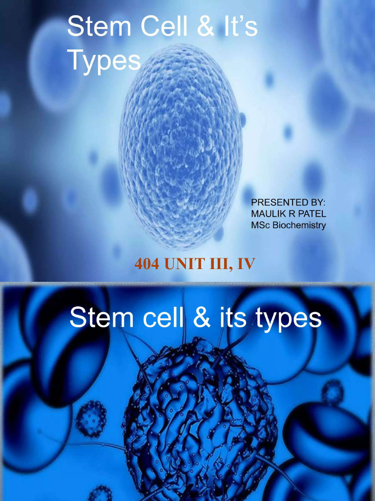 Stem Cell 1 | PDF