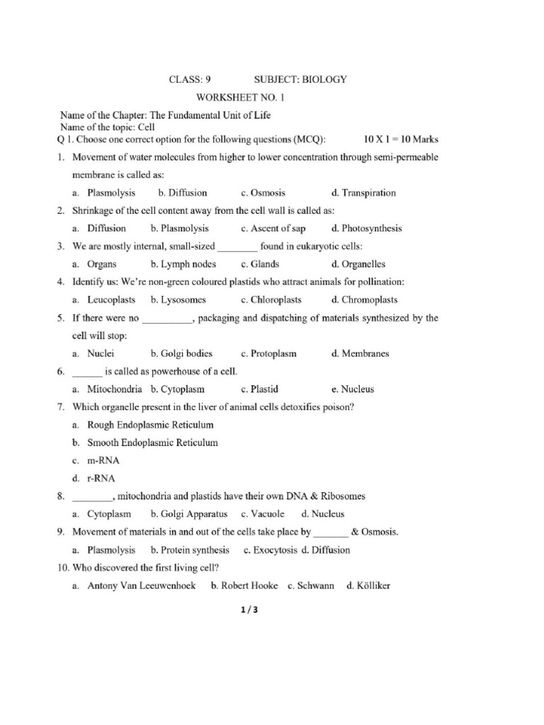 Class 9 Lesson 5 Biology Worksheet | PDF