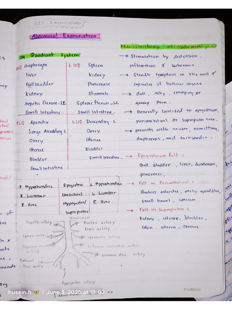 GIT Examination | PDF