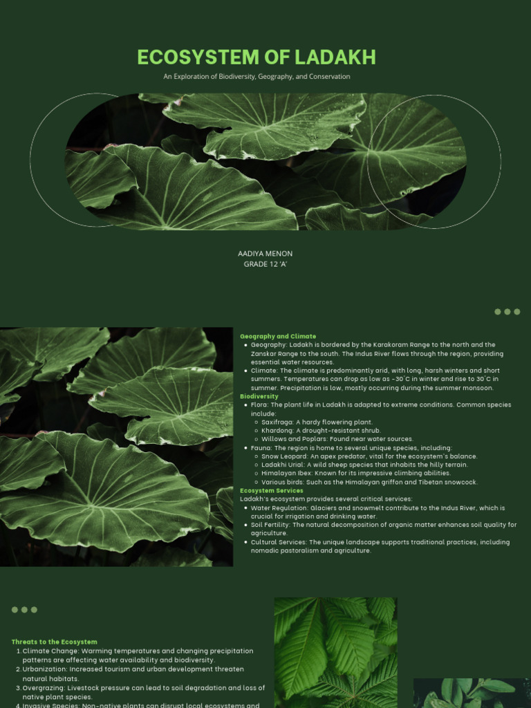 Ecosystem of Ladakh Biology Activity Class 12th | PDF | Conservation ...