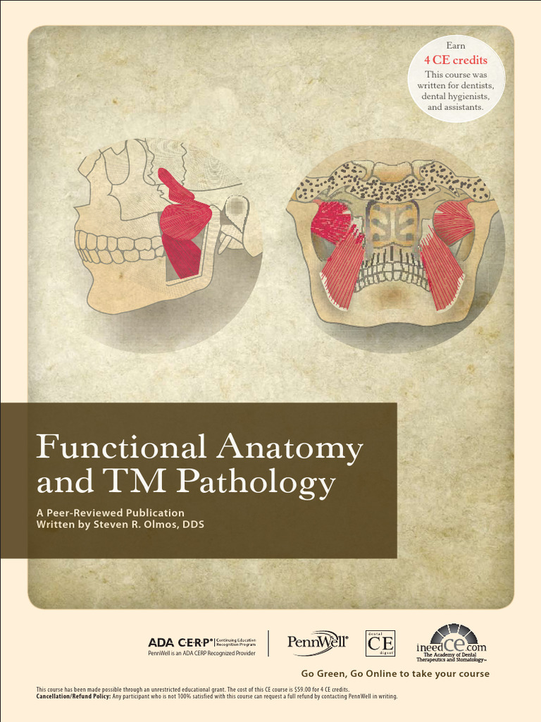 TMJ Anatomy and Pathology Overview | PDF | Human Anatomy | Primate Anatomy