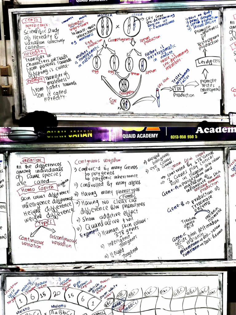2nd Year Biology Notes Chapter 22 | PDF