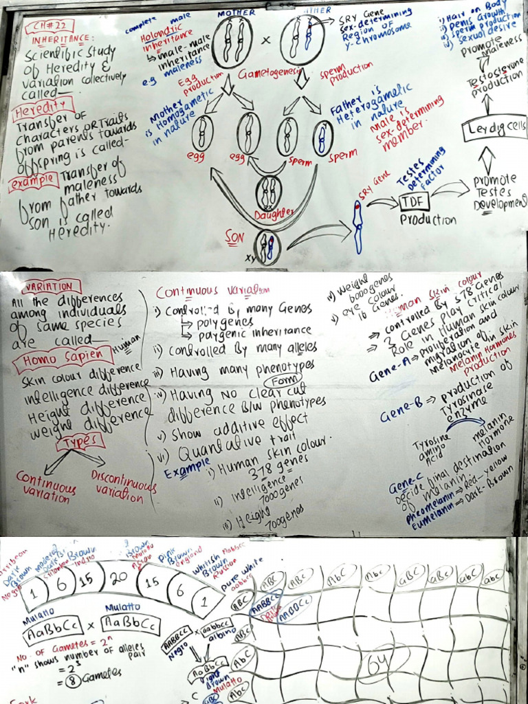 Compressed - L - 2nd Year Biology Chapter 22 | PDF