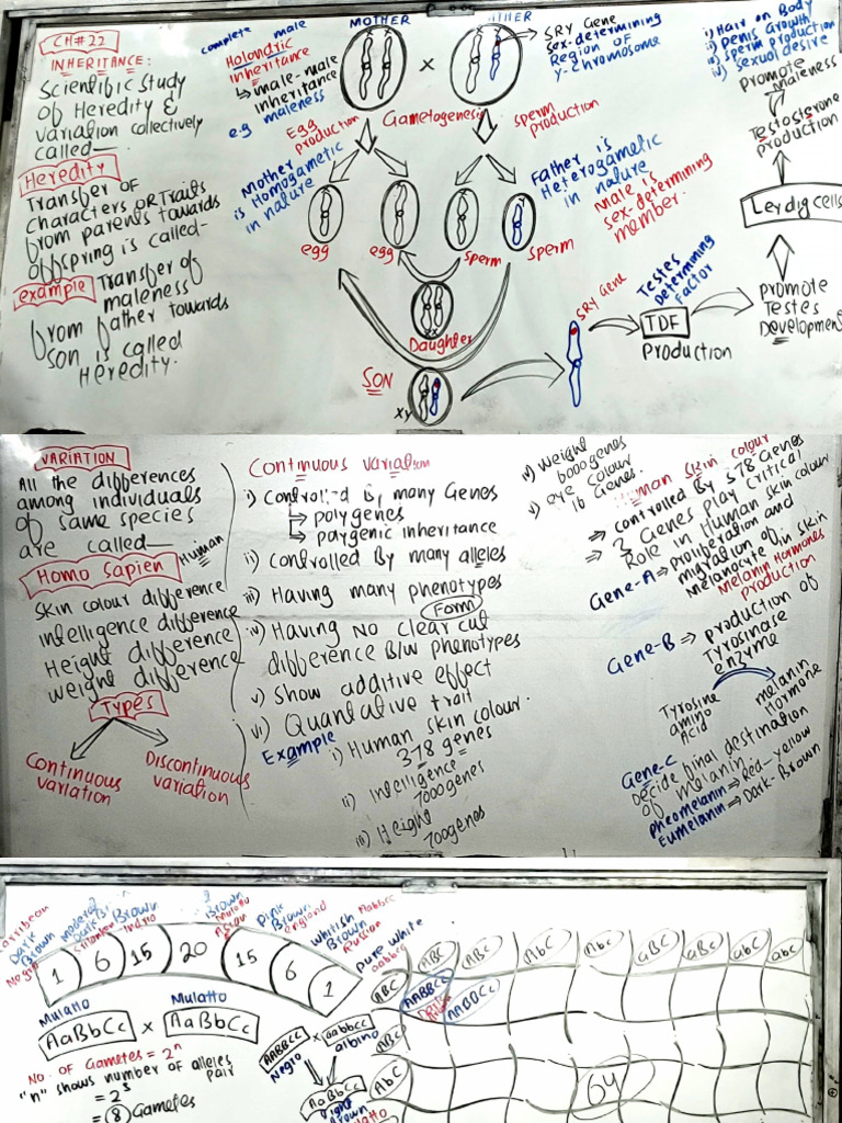 22 Chapter Biology | PDF