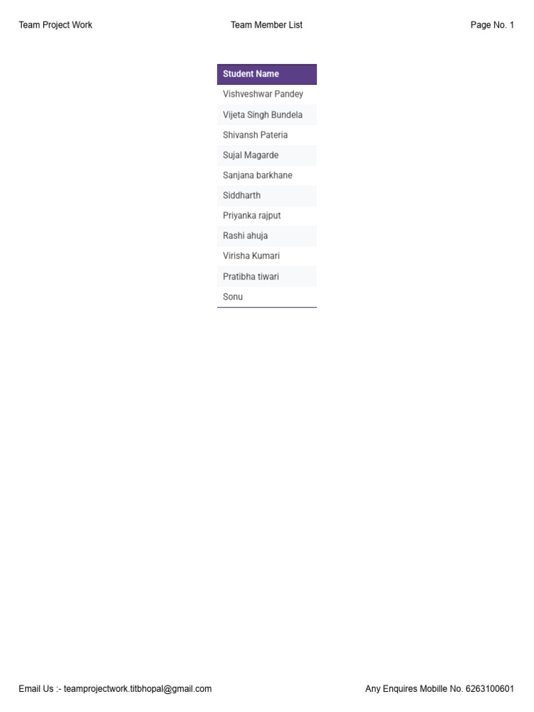 Team Project Work (Team Member List) | PDF