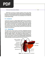 Cockroach Dissection | PDF | Wellness