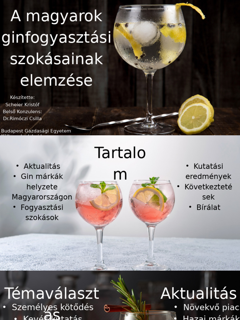 Scheier Kristóf Szakdolgozat Bemutató | PDF