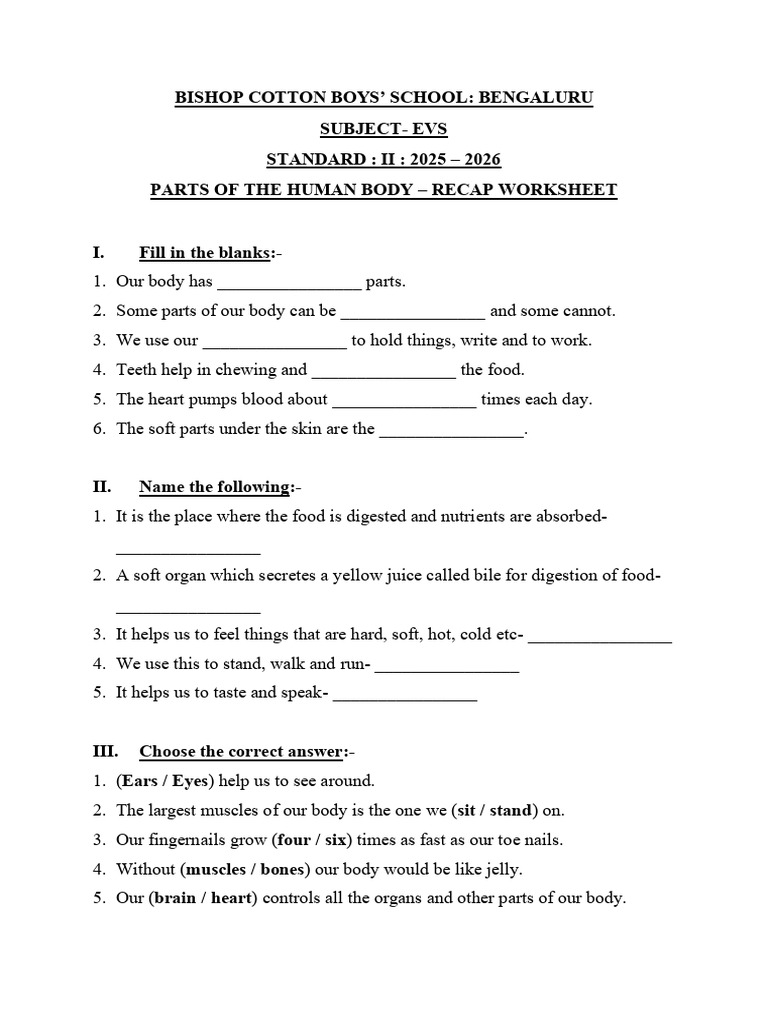 EVS RecapWorksheet & Revision Paper-Merged | PDF | Foods | Digestion