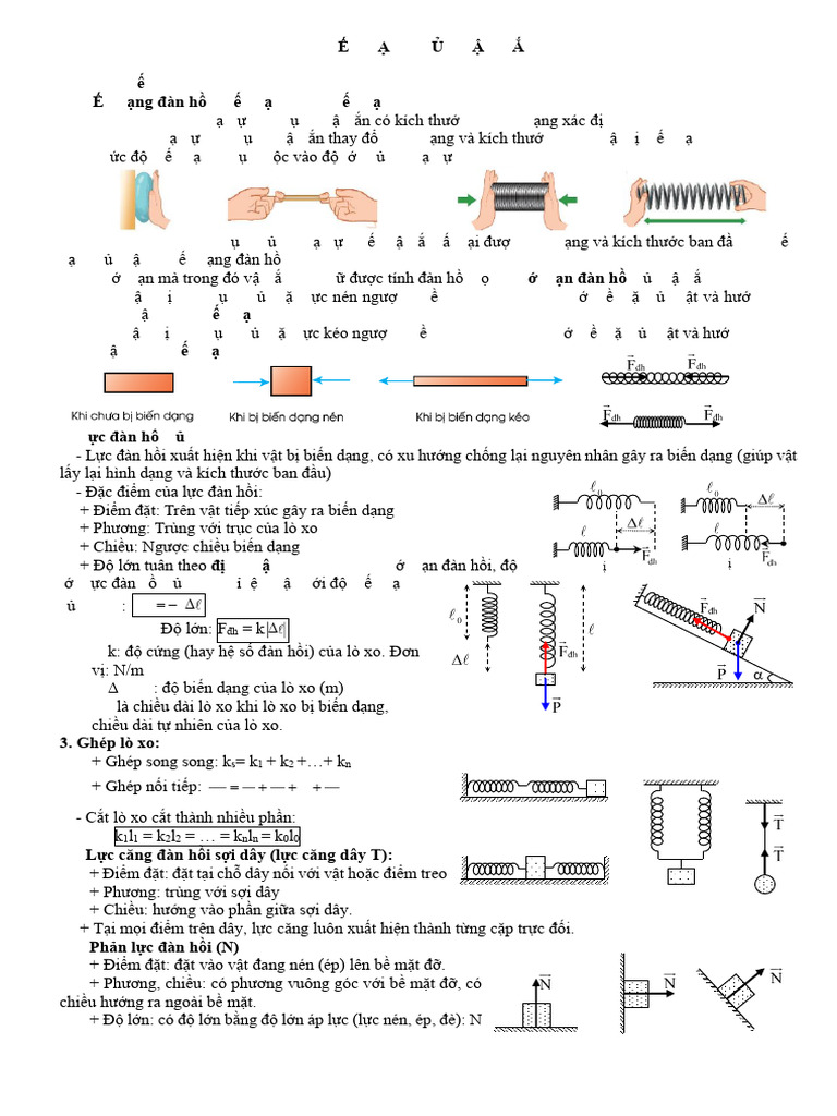 Bien Dang Cua Vat Ran For Students | PDF