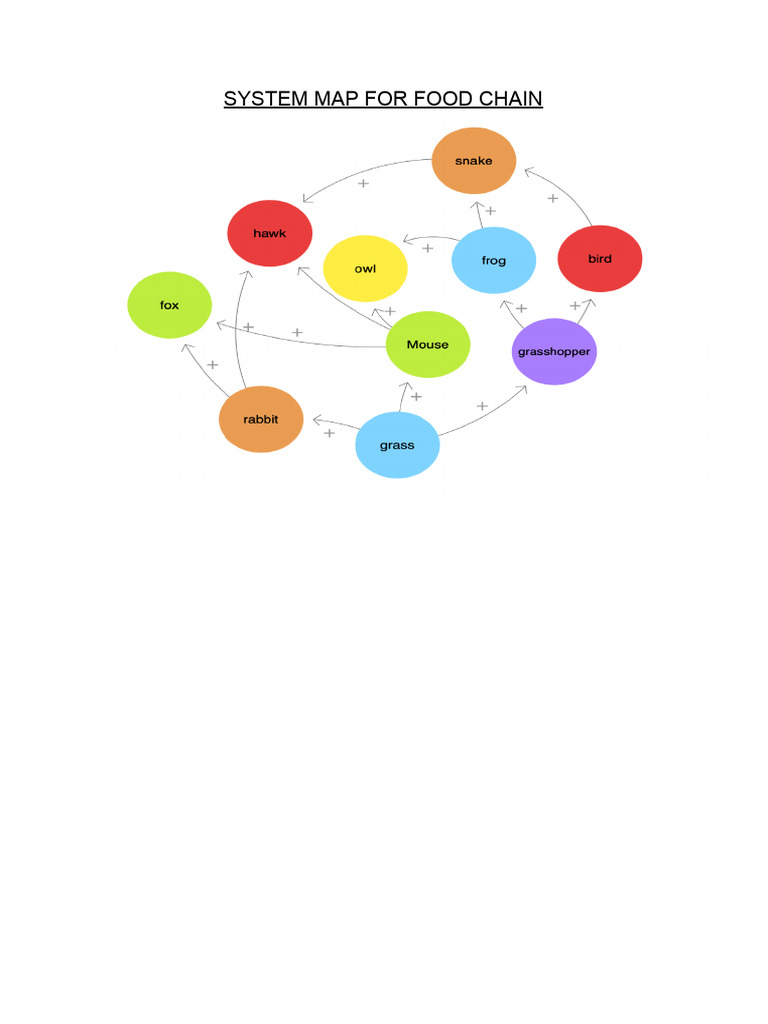 Mehal Mariyam Sigin - 10B - Loopy Food Chain | PDF