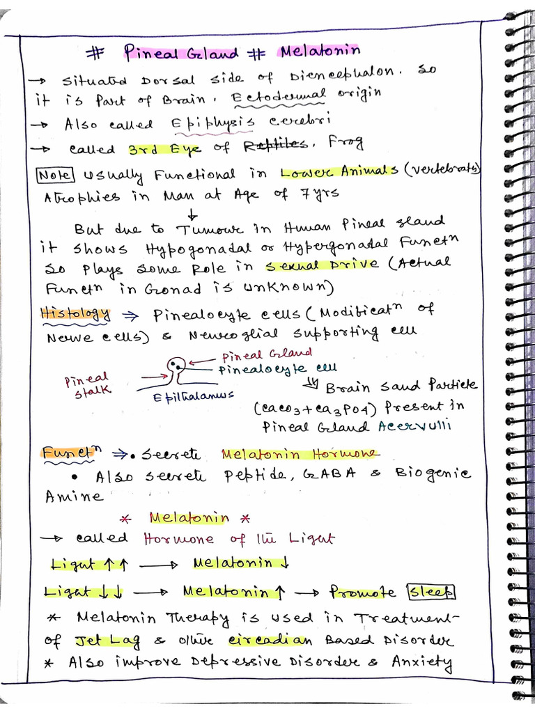Endocrinology Part 02 Pineal Thyroid Adrenal | PDF