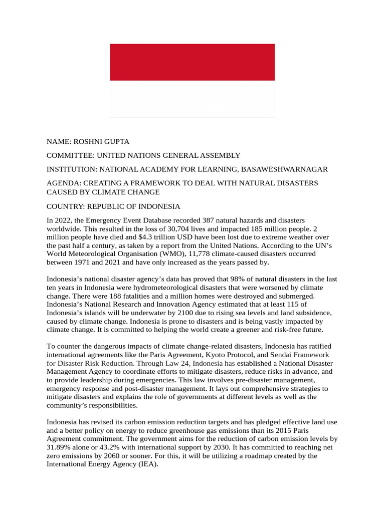 Delegate of Indonesia - UNGA - Position Paper | PDF | Climate Change ...