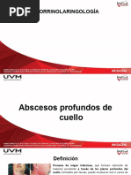 Guía Orl Cerumen Impactado | PDF | Oído | Sonido