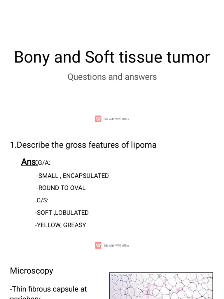 Soft Tissue | PDF