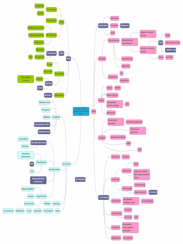 BCH Mind Map | PDF