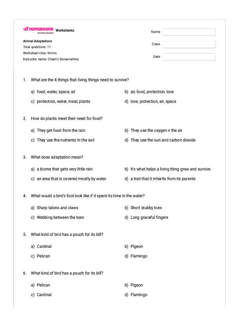 Animal Adaptations Worksheet | PDF | Adaptation | Predation