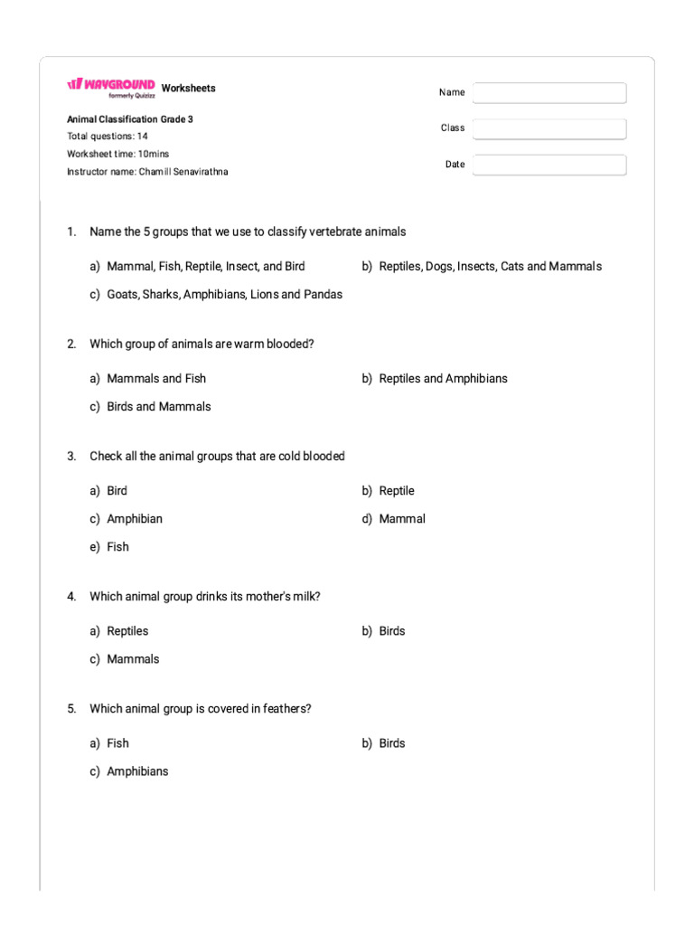 Animal Classification Grade 3 - Wayground | PDF | Amphibian | Reptile