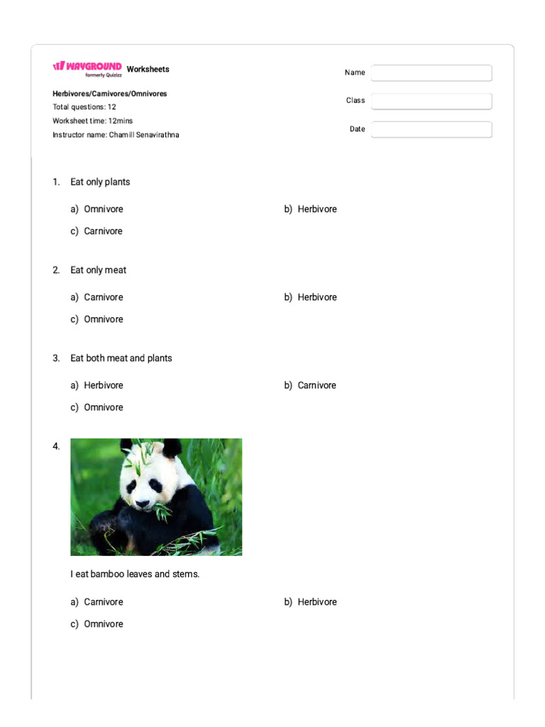 Herbivore, Carnivore, Omnivore Quiz | PDF