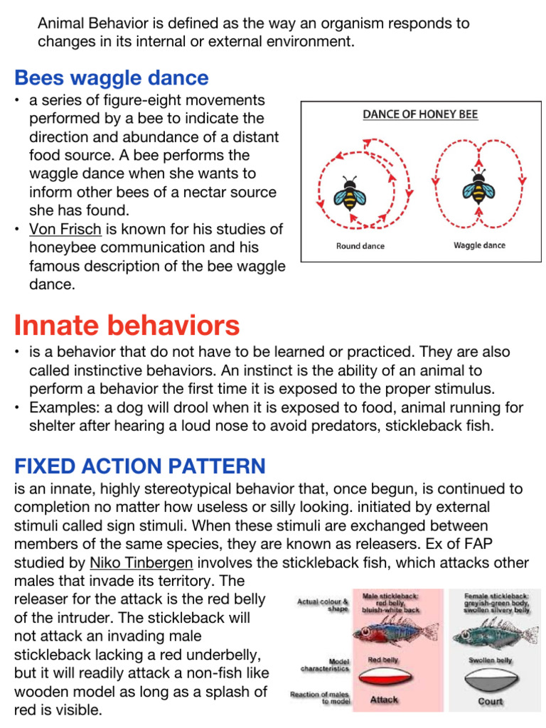 15 - Animal Behavior Dr. Salma Walid | PDF | Ethology | Classical ...