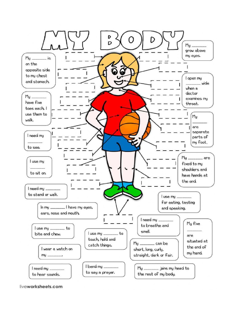My Body Worksheet | PDF