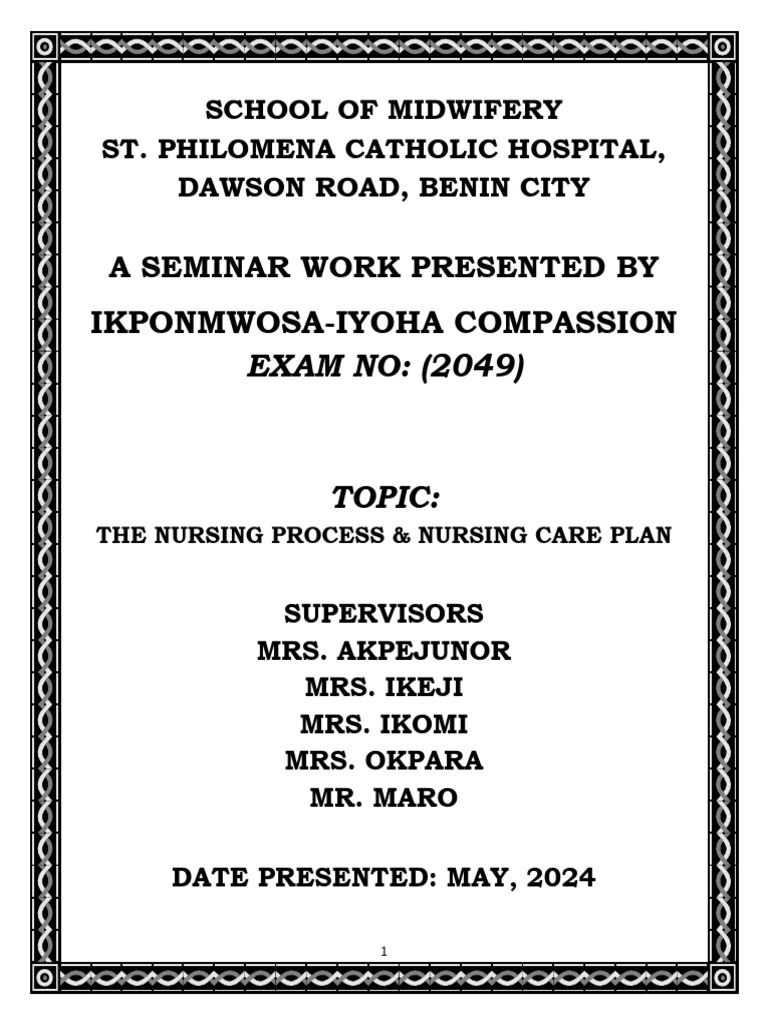 Nursing Process and Care Plan Overview | PDF | Nursing | Medical Diagnosis