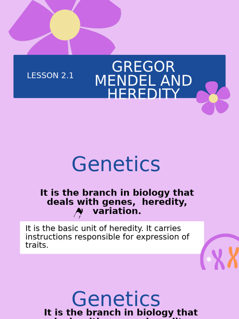 Gregor Mendel and Heredity | PDF | Dominance (Genetics) | Allele