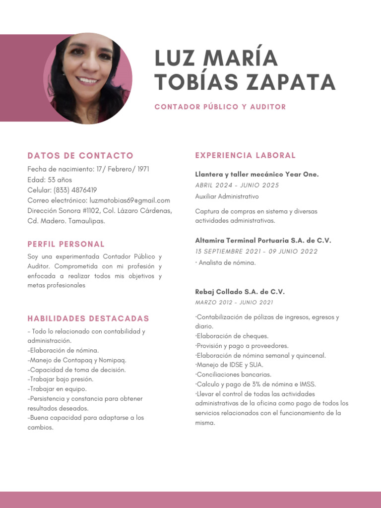 CV Luz Tobías | PDF | Contador | Contabilidad
