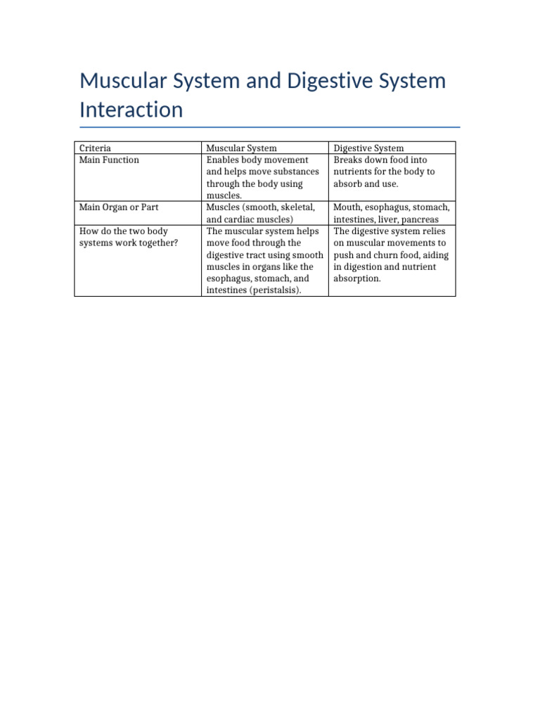 Muscular and Digestive Systems | PDF