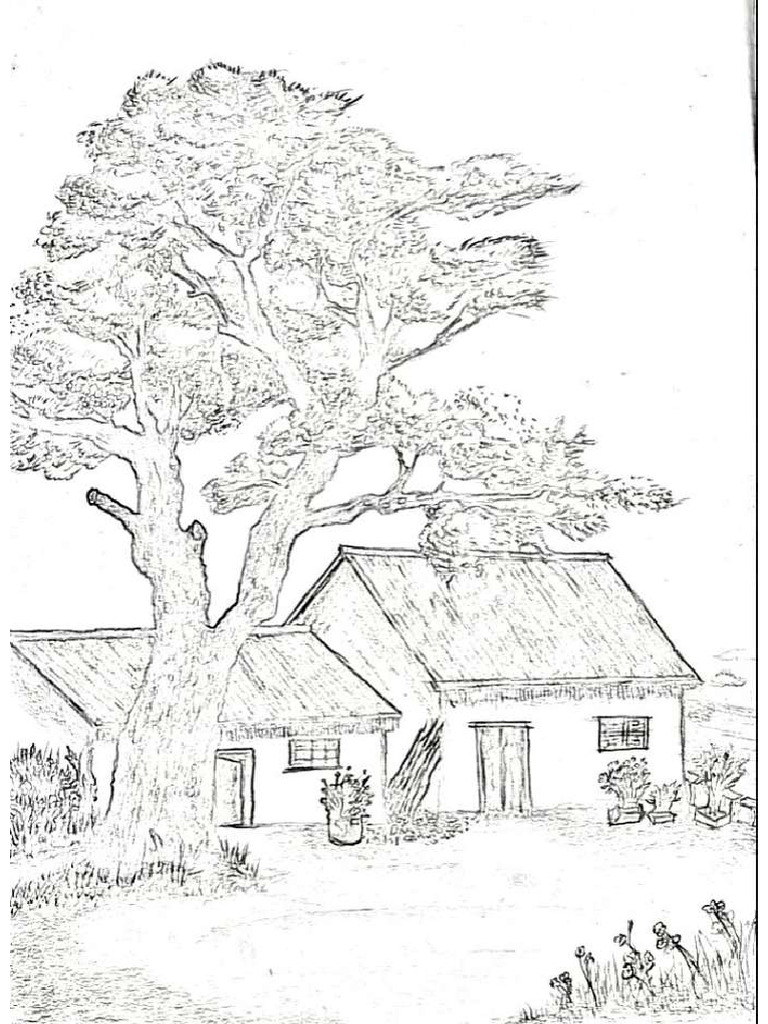 TapScanner 12-07-2025-21 22 | PDF