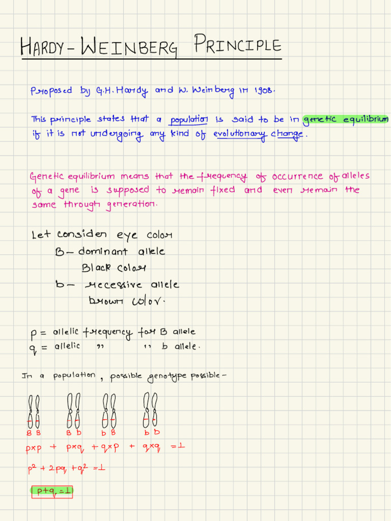 Hardy Weinberg Principle | PDF | Zygosity | Allele