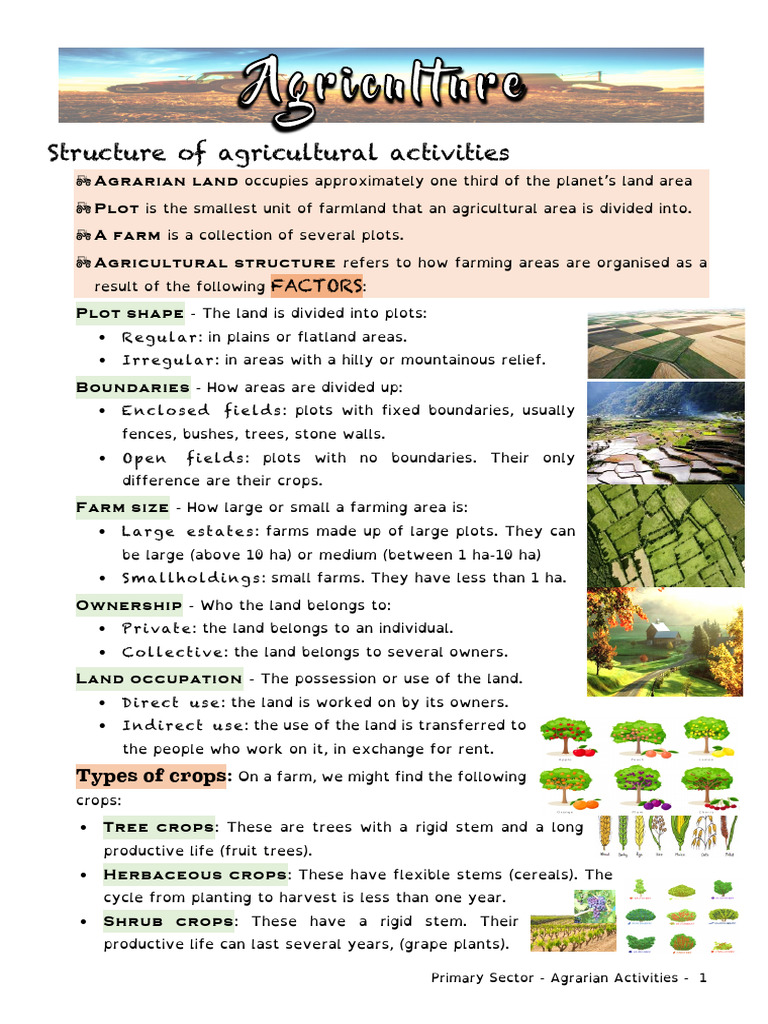 Overview of Agrarian Activities | PDF | Agriculture | Crop Rotation