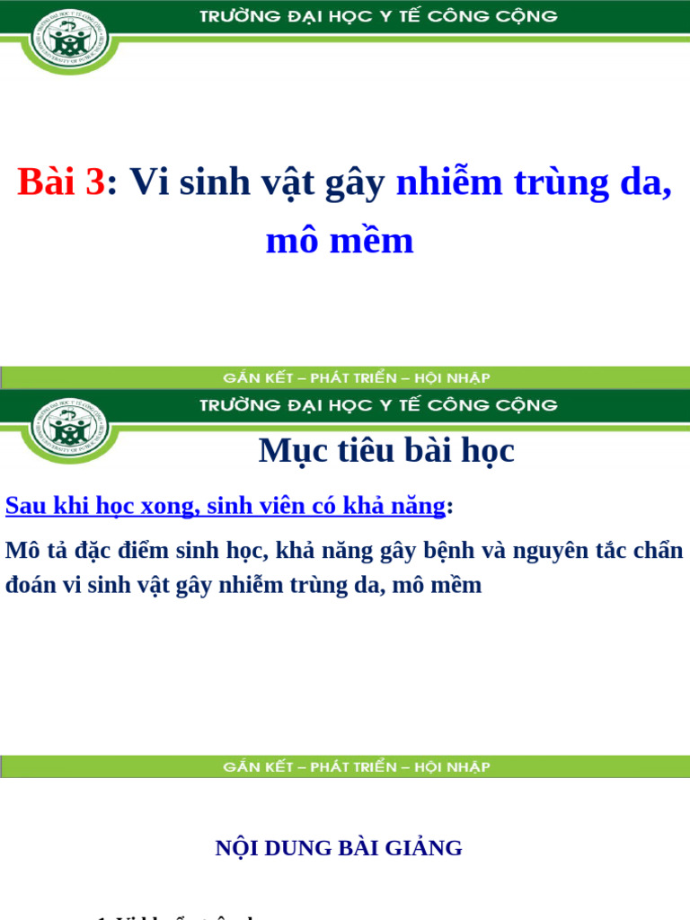 Bài 3. VSV Gây Nhiễm Trùng Da Mô Mềm | PDF