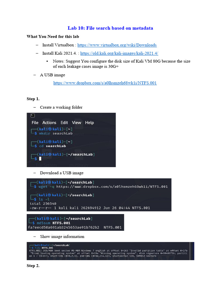 File Search Techniques Using Metadata | PDF