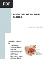 Functions and Composition of Succus Entericus | PDF | Digestive System ...