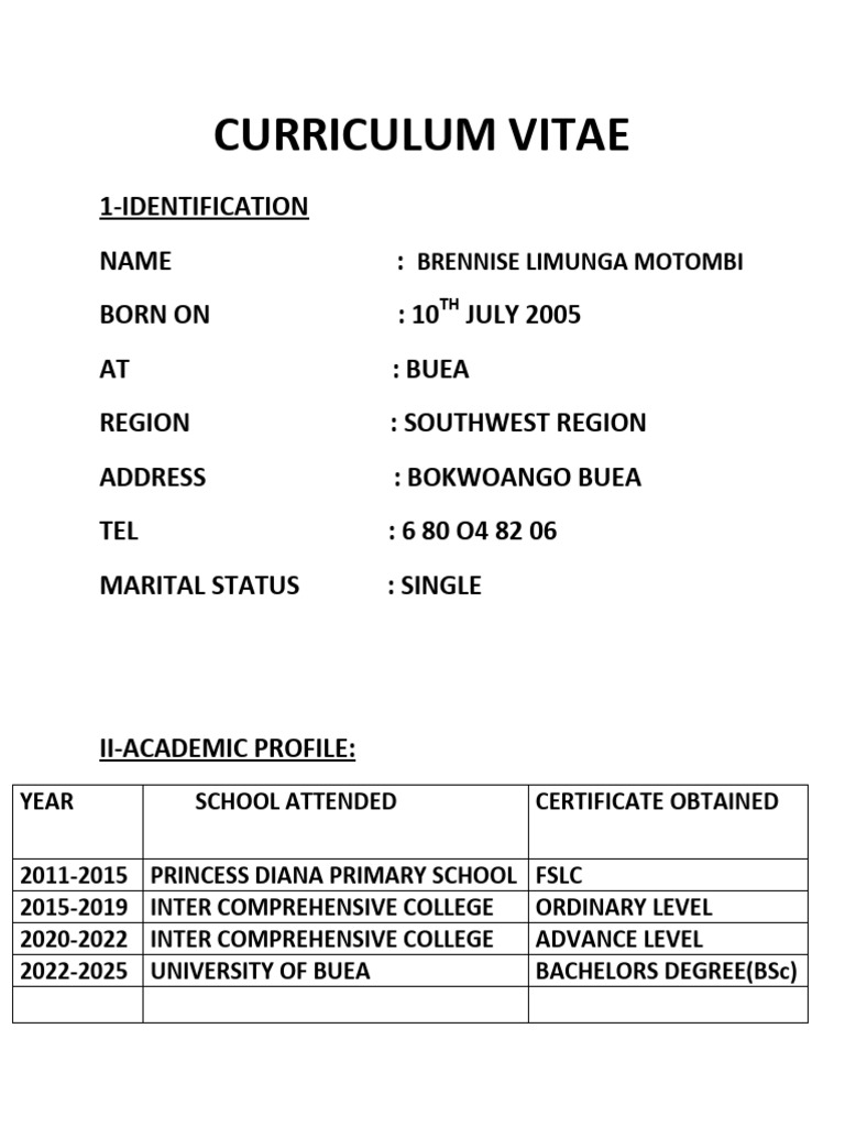Curriculum Vitea | PDF