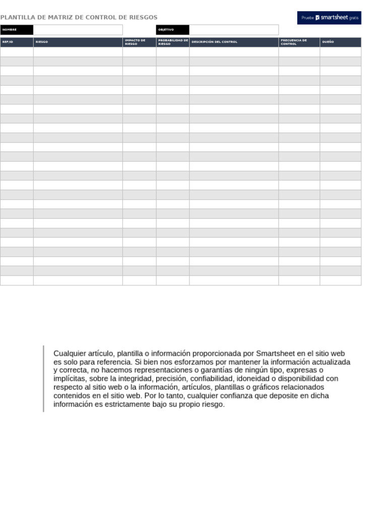 IC Risk Control Matrix Template 27139 ES | PDF